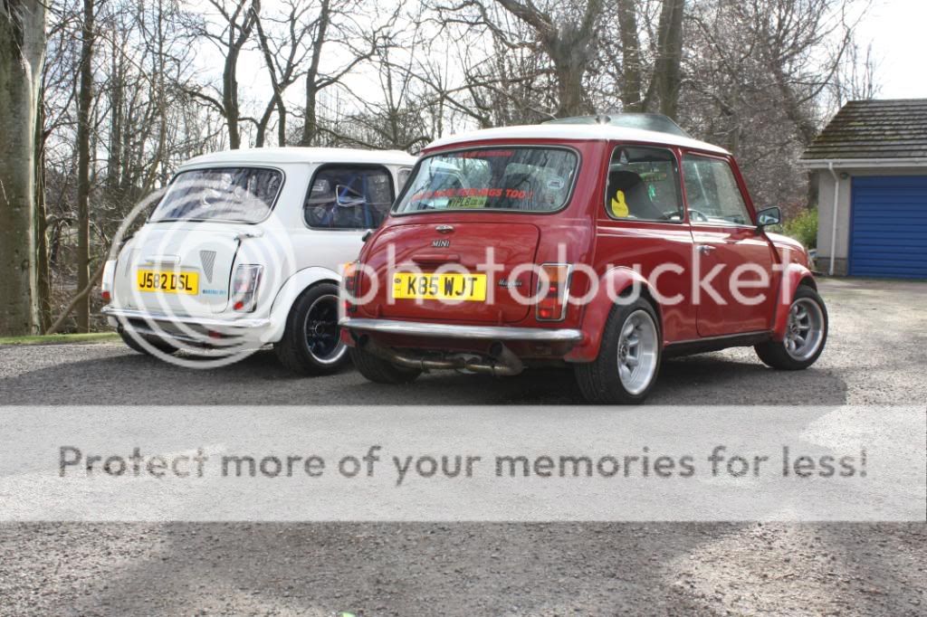 Your classic mini | MiniTorque.com