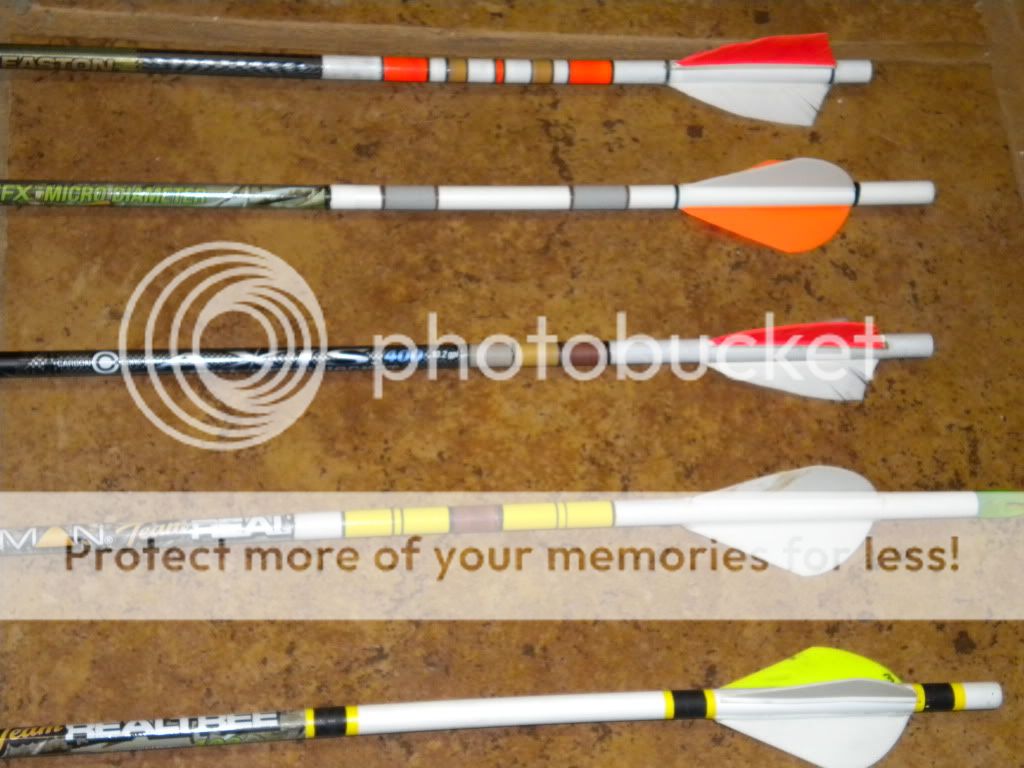 Arrow pics? | Archery Talk Forum