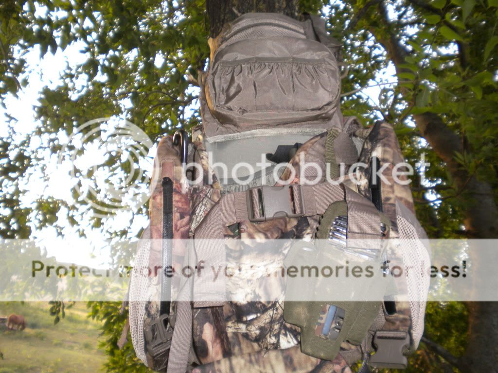 2010 Eberlestock Tailhook Pic Review | Archery Talk Forum