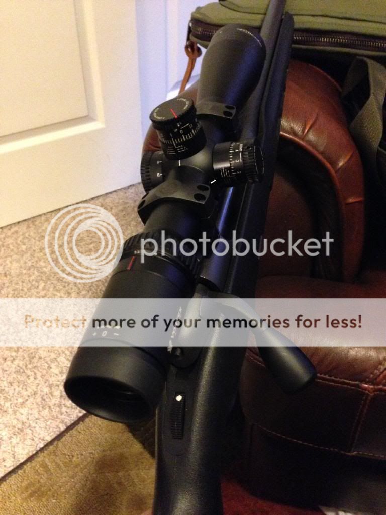 Steyr Pro Hunter 22-250 heavy barrel - 24hourcampfire