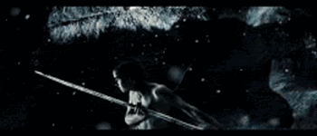 Signatar Collections