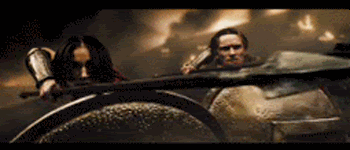 Signatar Collections