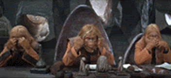 Signatar Collections