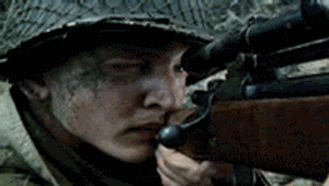 Signatar Collections