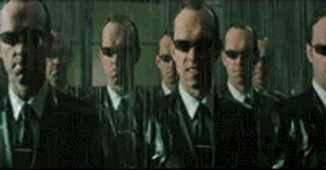 Signatar Collections