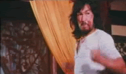 Signatar Collections